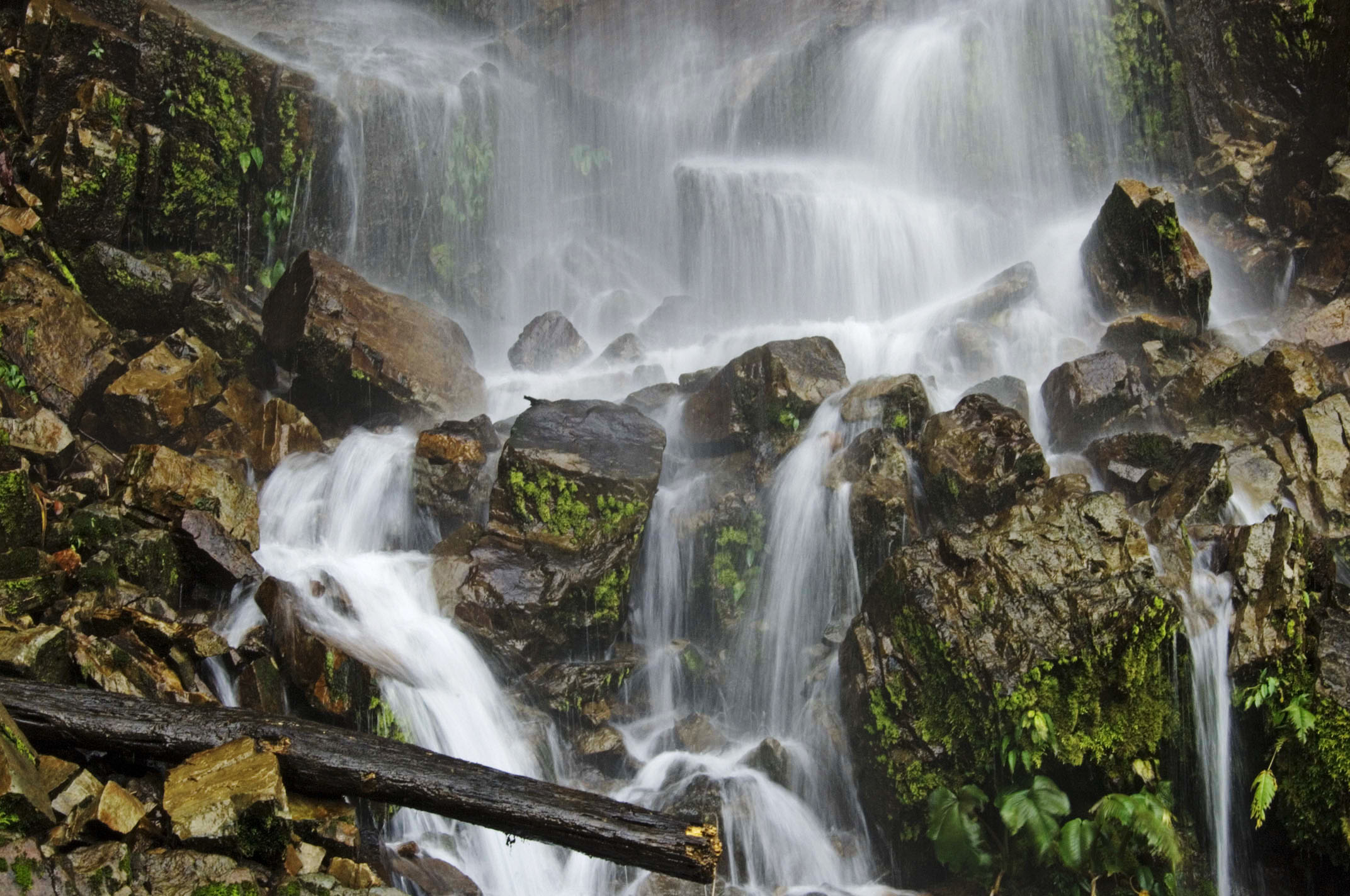 To Protect The Most Species, Plan For Freshwater Conservation | AGUAS ...