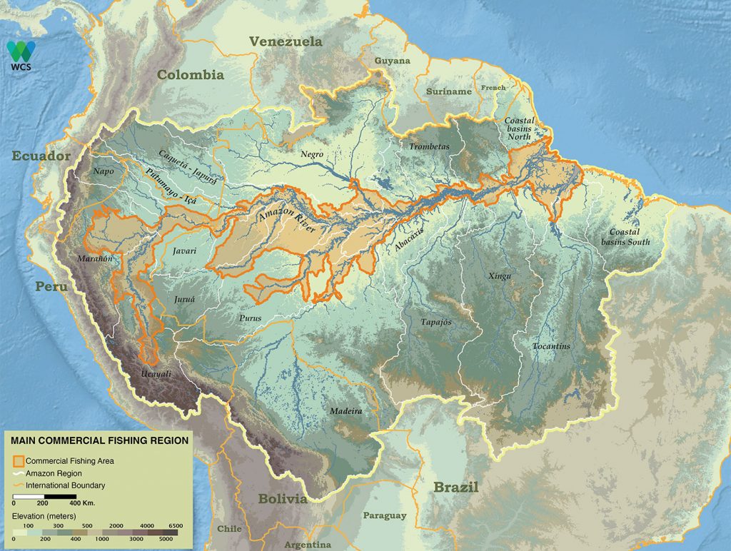 AMAZON FISHERIES | AMAZON WATERS