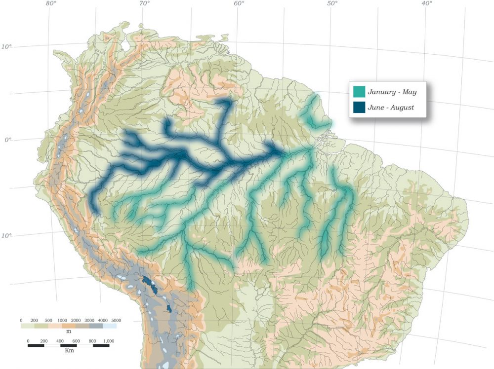 Amazon River Floods | AMAZON WATERS