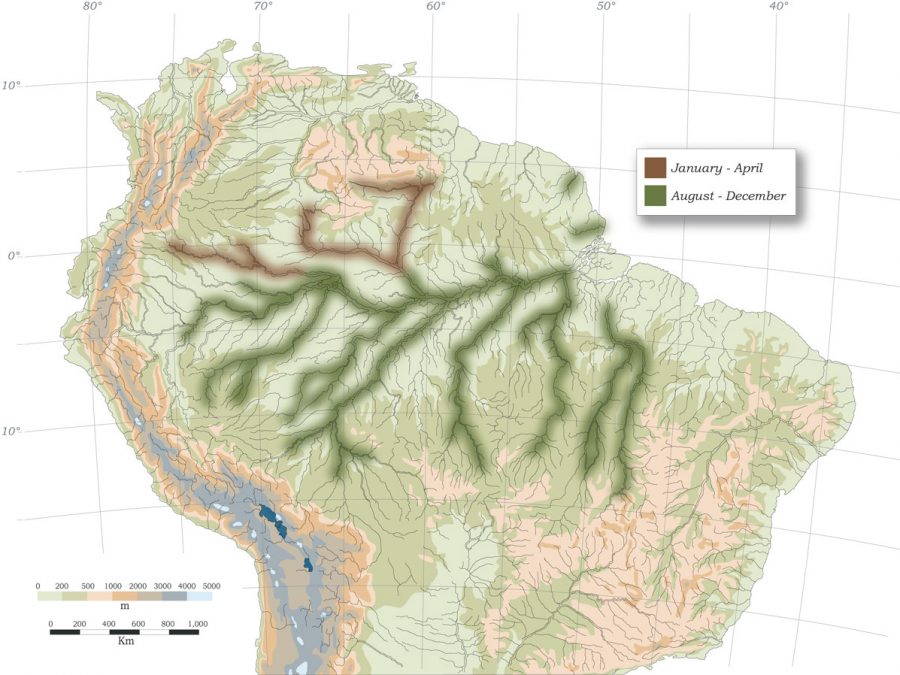 Amazon River Floods | AMAZON WATERS