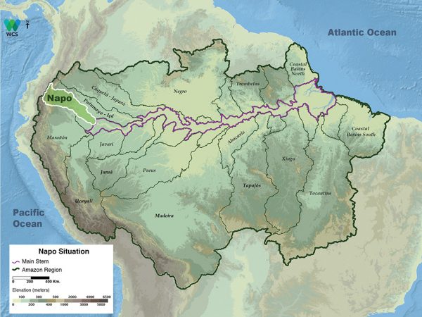 Napo Basin | AMAZON WATERS