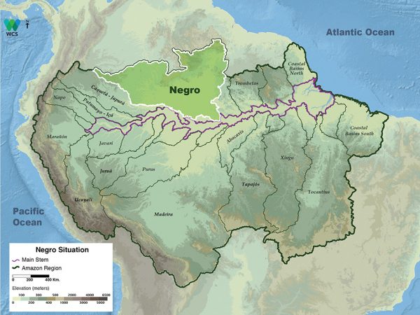 Negro Basin | AMAZON WATERS
