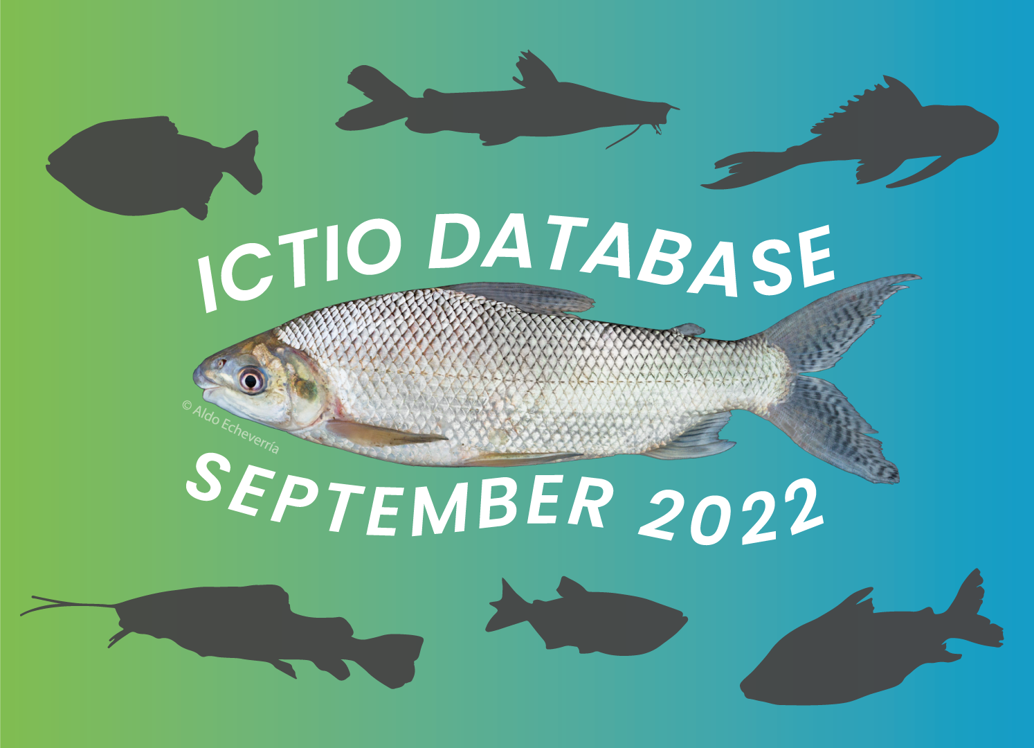 Ictio: The database of fish and fisheries in the Amazon continues to ...