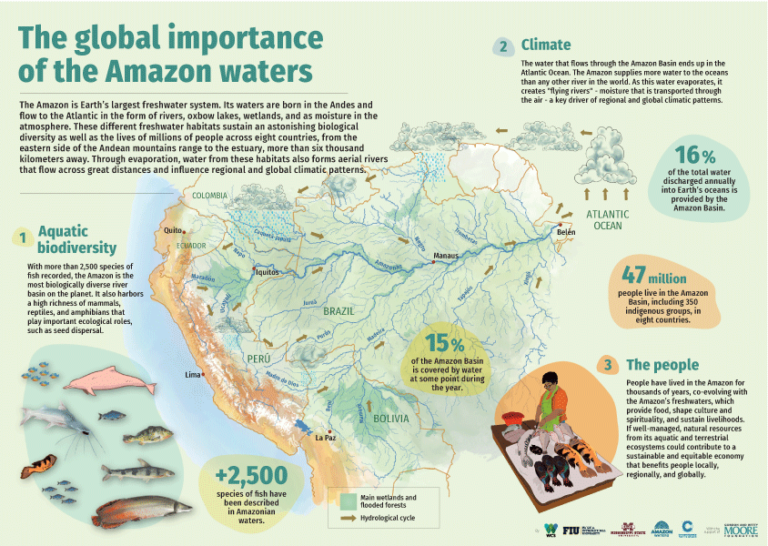 INFOGRAPHICS Amazon Basin | AMAZON WATERS