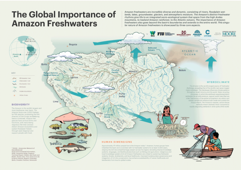 INFOGRAPHICS Amazon Basin | AMAZON WATERS