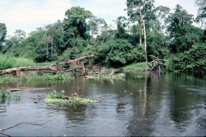 Marañon Basin | AMAZON WATERS