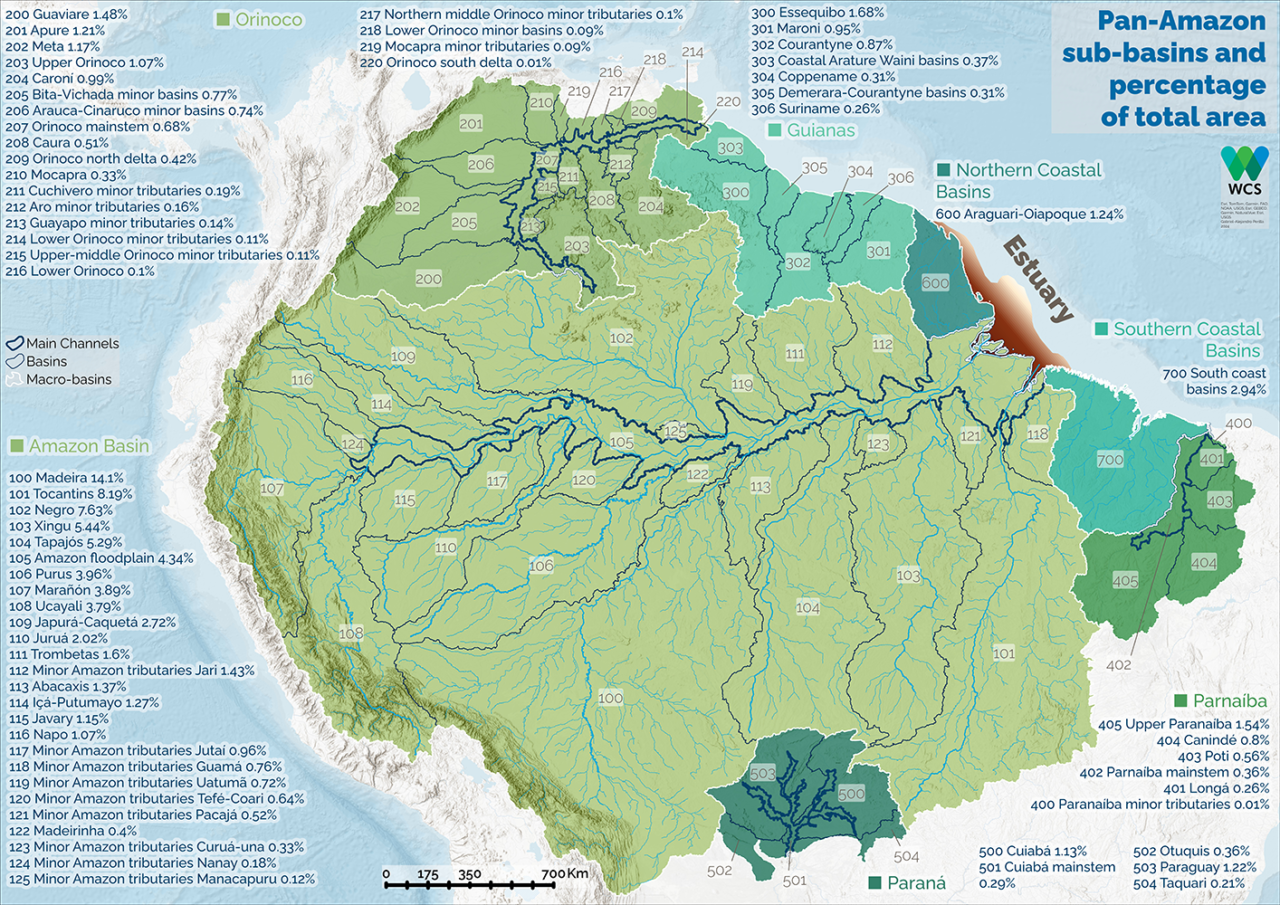BASINS | AMAZON WATERS