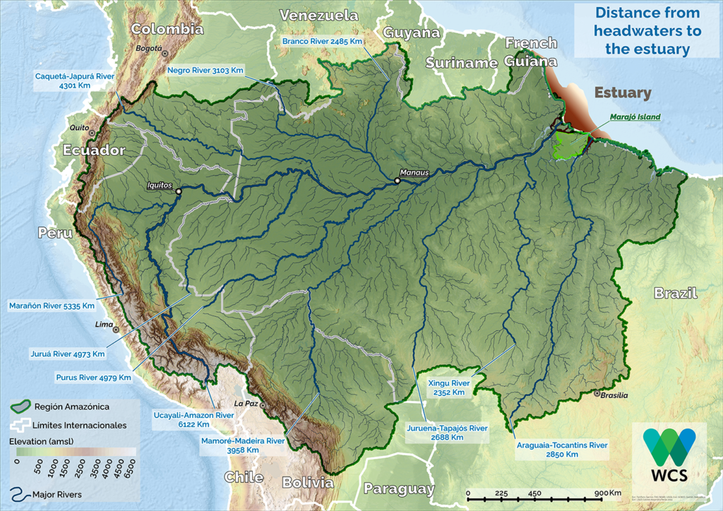 WATERS Amazon Basin | AMAZON WATERS