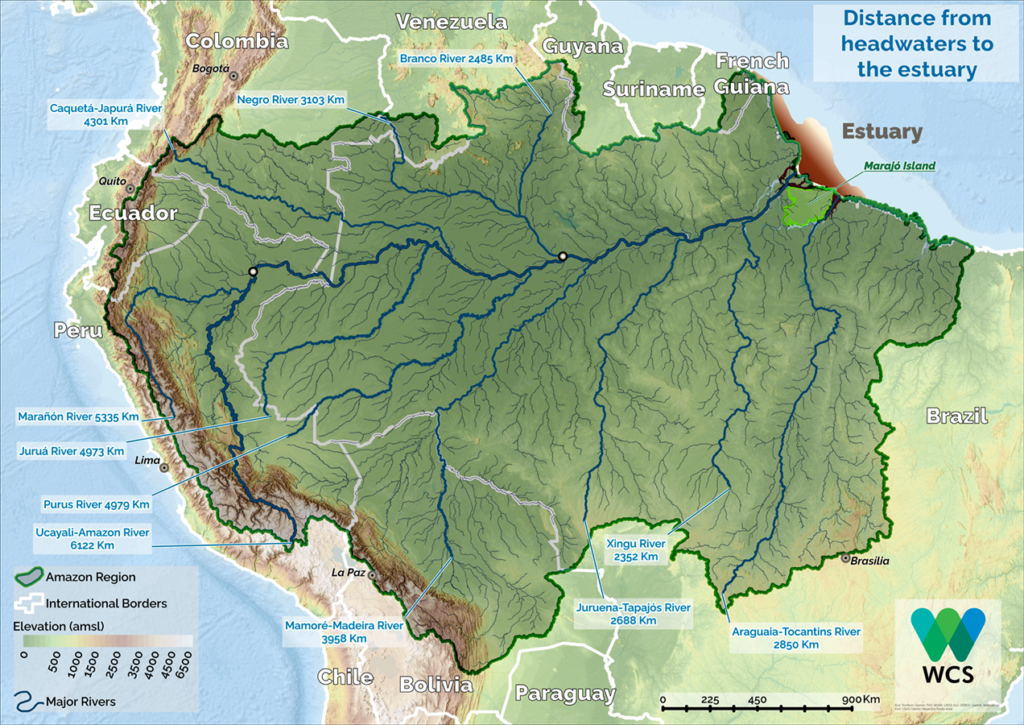 WATERS Amazon Basin | AMAZON WATERS