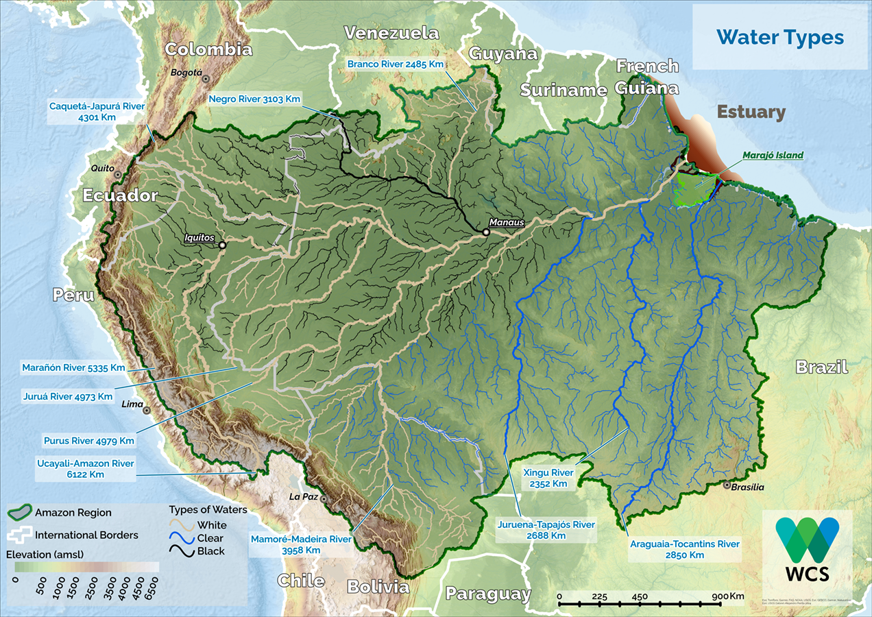 Water Types | AGUAS AMAZÓNICAS
